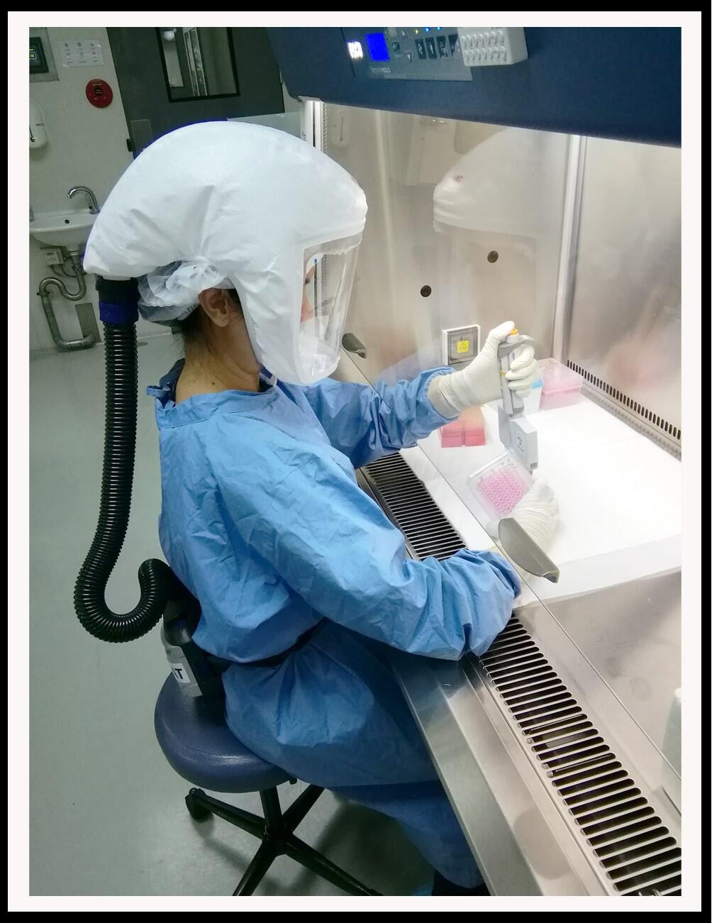 RESEARCH | OpenScholar