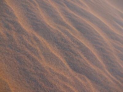 Apedal soils | OpenScholar